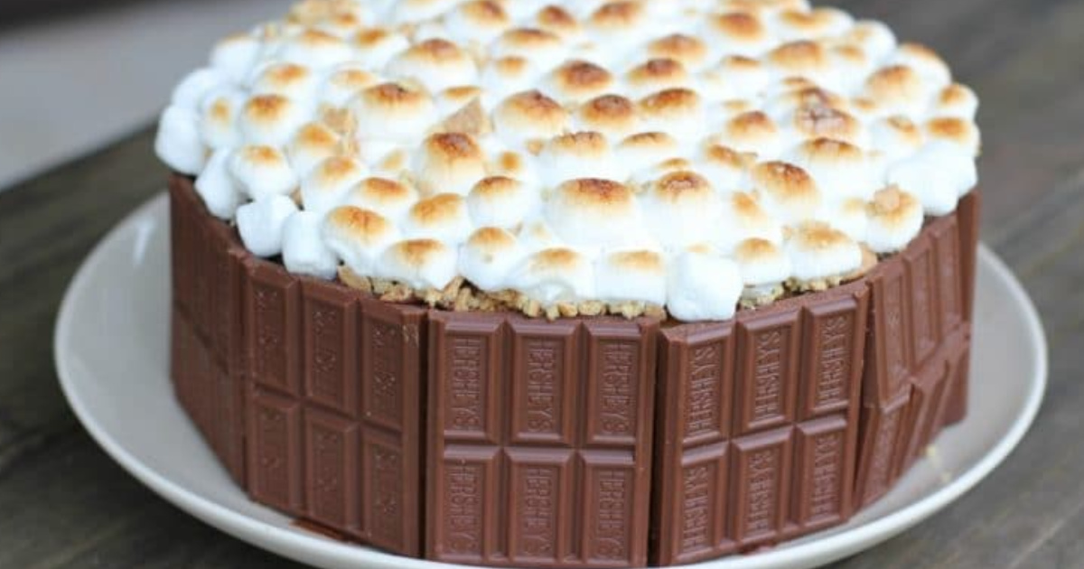 The Ultimate S'mores Cake Recipe + VIDEO - PinkWhen