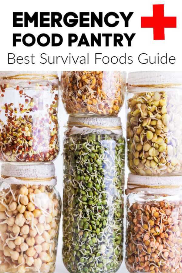 Long Term Food Storage Best Survival Foods PinkWhen Long Term Food Storage Best Survival Foods PinkWhen