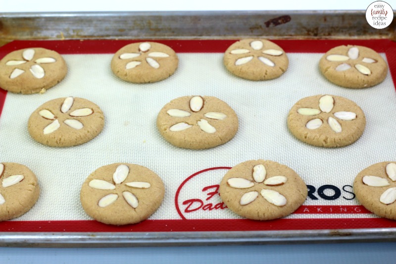 Easy Sand Dollar Cookies for a Delicious Summer Treat - PinkWhen