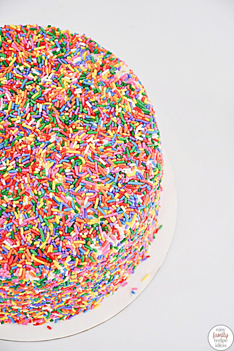 Chocolate Rainbow Sprinkle Cake Recipe - PinkWhen