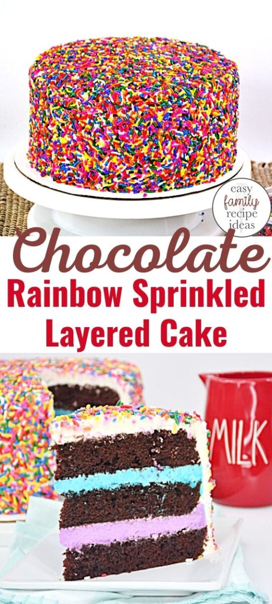 Chocolate Rainbow Sprinkle Cake Recipe - PinkWhen
