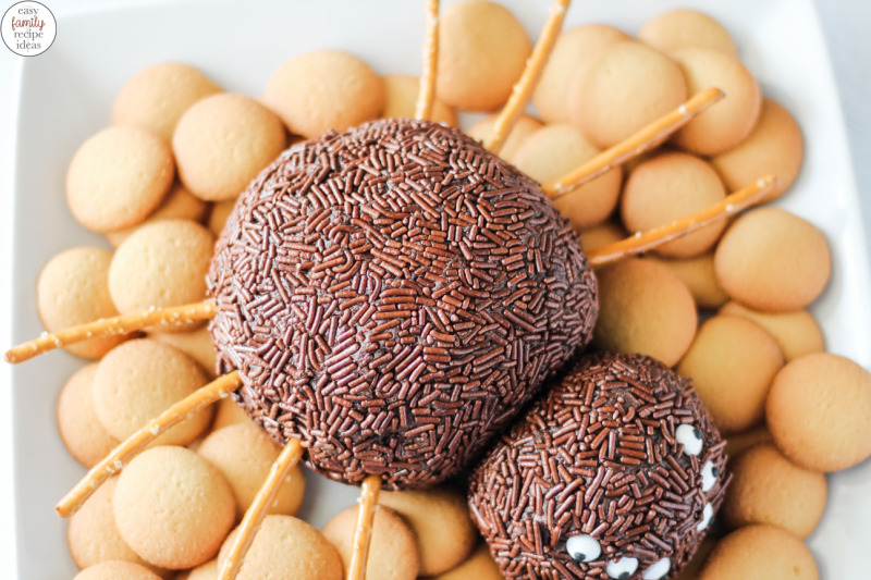 Chocolate Spider Cheese Ball for Halloween - PinkWhen