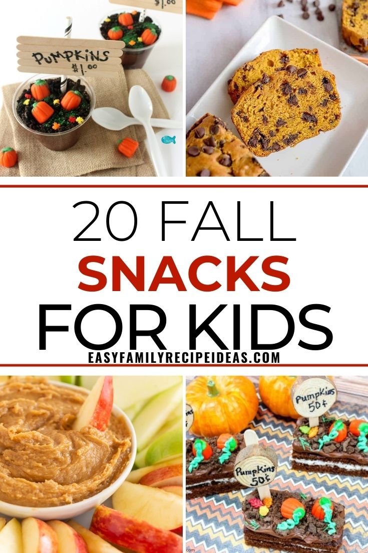 25+ Fall Snack Ideas - Easy, Fun, and Healthy Snacks - PinkWhen